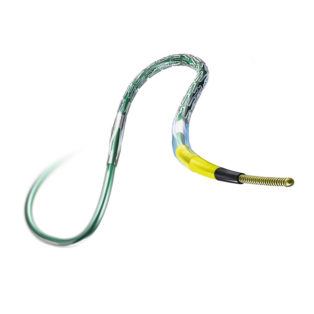 BMS – Coronary Bare Metal Stent Systems